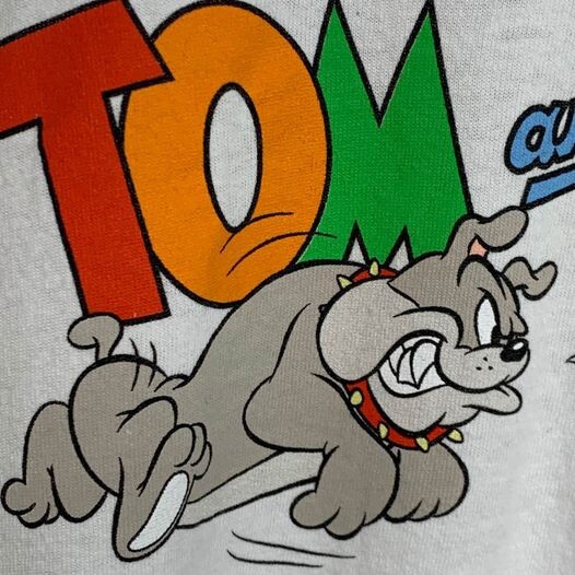 Tom and Jerry Shirt Men Large Spell Out Dog Cat Mouse Chase Rainbow ...