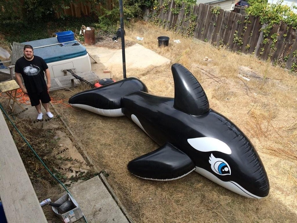 Huge *Black* whale 16+ feet/5 meter+ Shiny Pool Toy big Inflatable | eBay