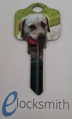 Dog House Key Blank - Uncut - Dogs - Labrador - Keys | eBay Australia