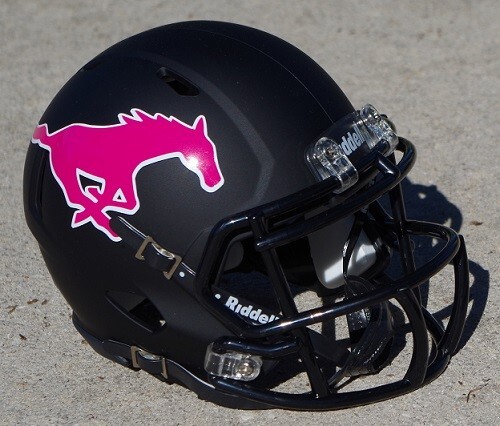 SMU MUSTANGS FOOTBALL MINI HELMET, 15+ VERSIONS TO PICK FROM | eBay