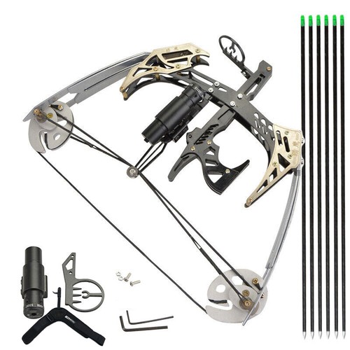25lbs Mini Compound Bow 6x Arrows Set Right Hand Archery Hunting 40-80m ...