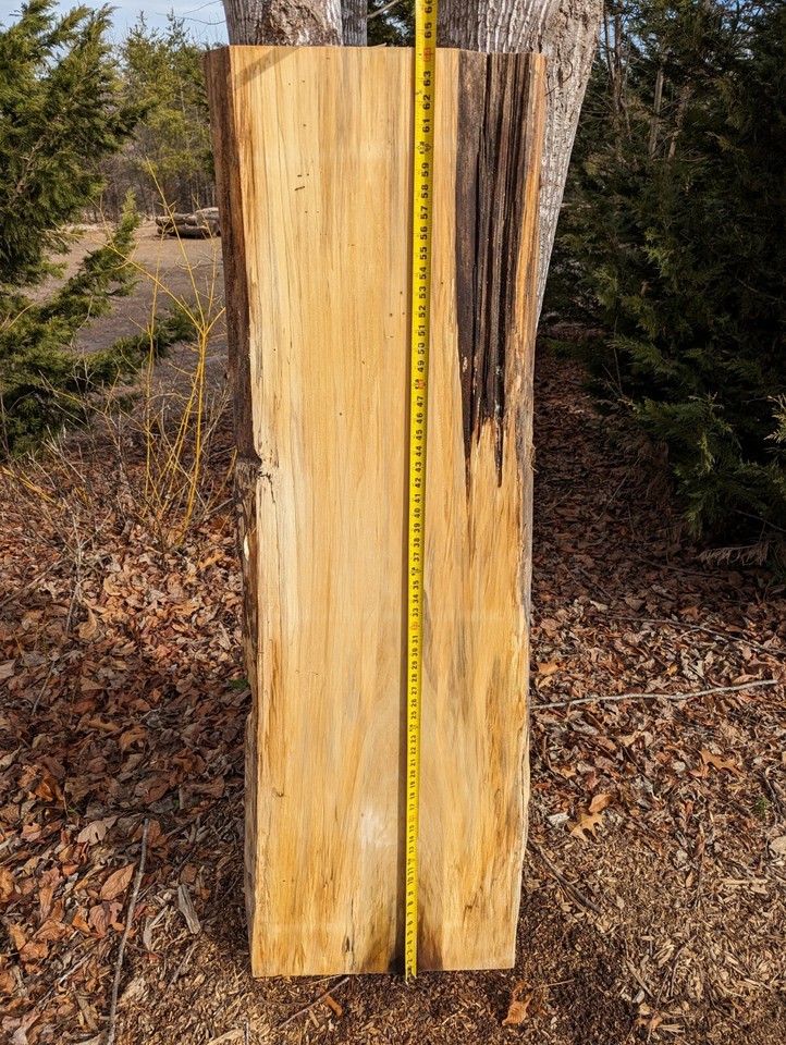 Tulip Poplar (Rainbow) slab (Live Edge) Spalted. Wide Slab, Great ...