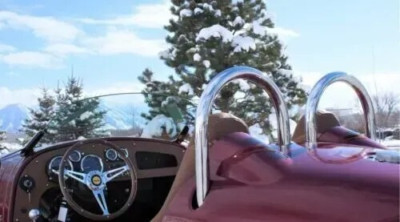 Vanderhall OEM Chrome Roll Hoop Set Venice Models 55641241 | eBay