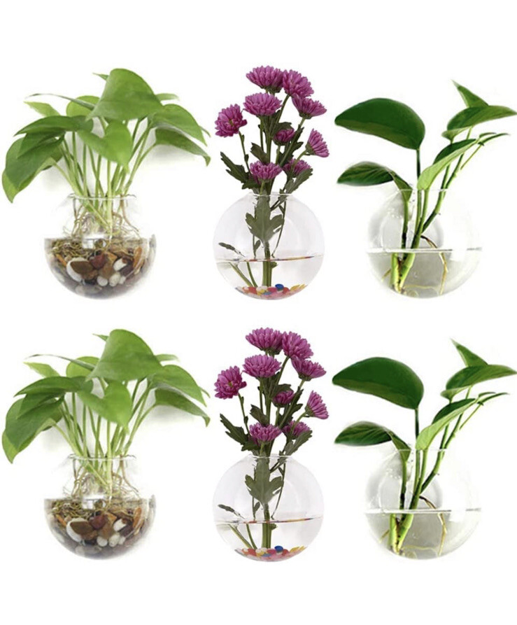 Orimina Pack of 6 Glass Planters Wall Hanging Planters Round Glass ...