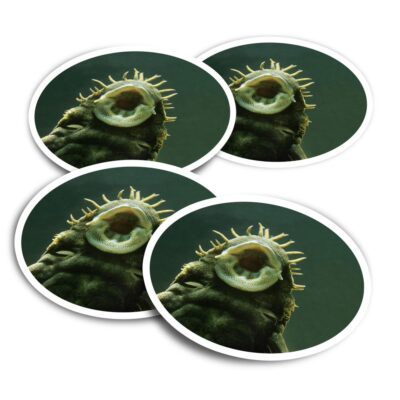 4x Vinyl Stickers Bristlenose Catfish Pleco Fish #52685 | eBay