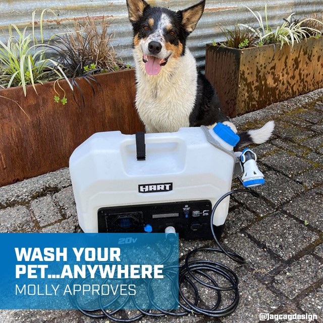 HART HGPR0301VNM 20V Cordless Rinser Kit for sale online | eBay