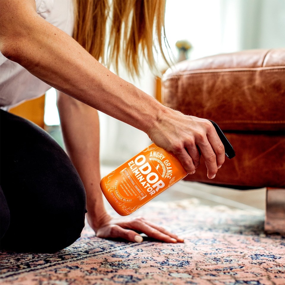 Angry Orange Ready to Use Pet Odor Eliminator for Dogs and Cats, 20oz ...