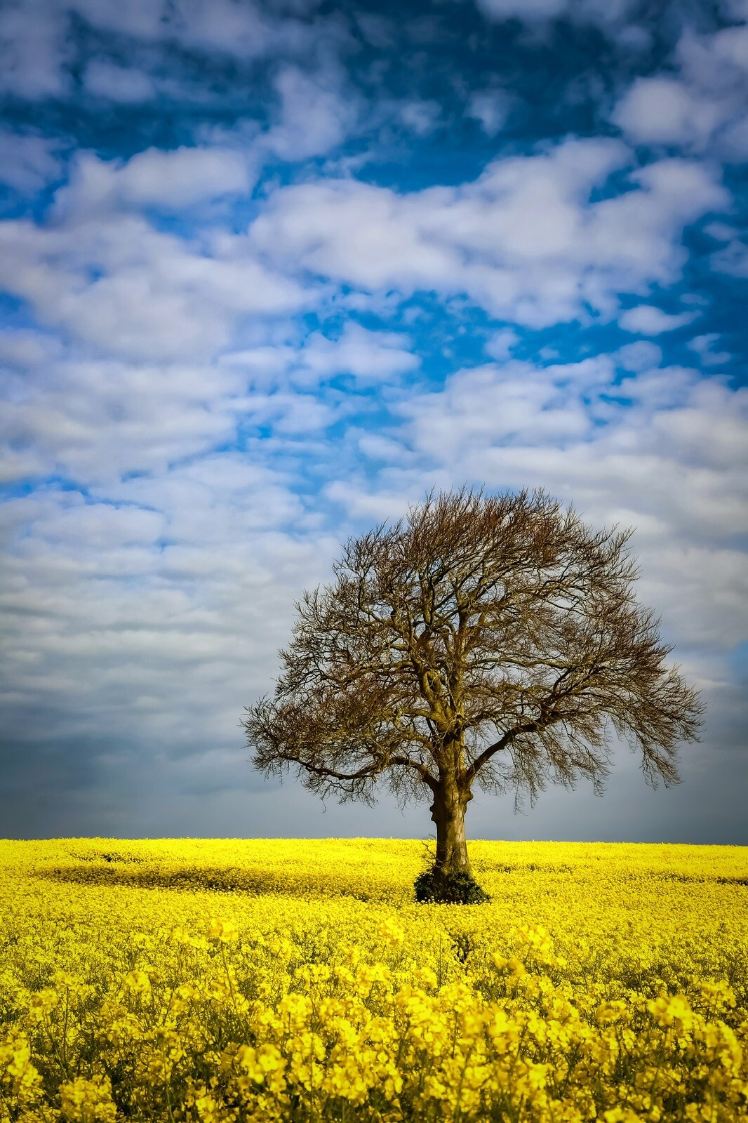 Ripple Kent A4 Matt Finish Photograph | eBay UK