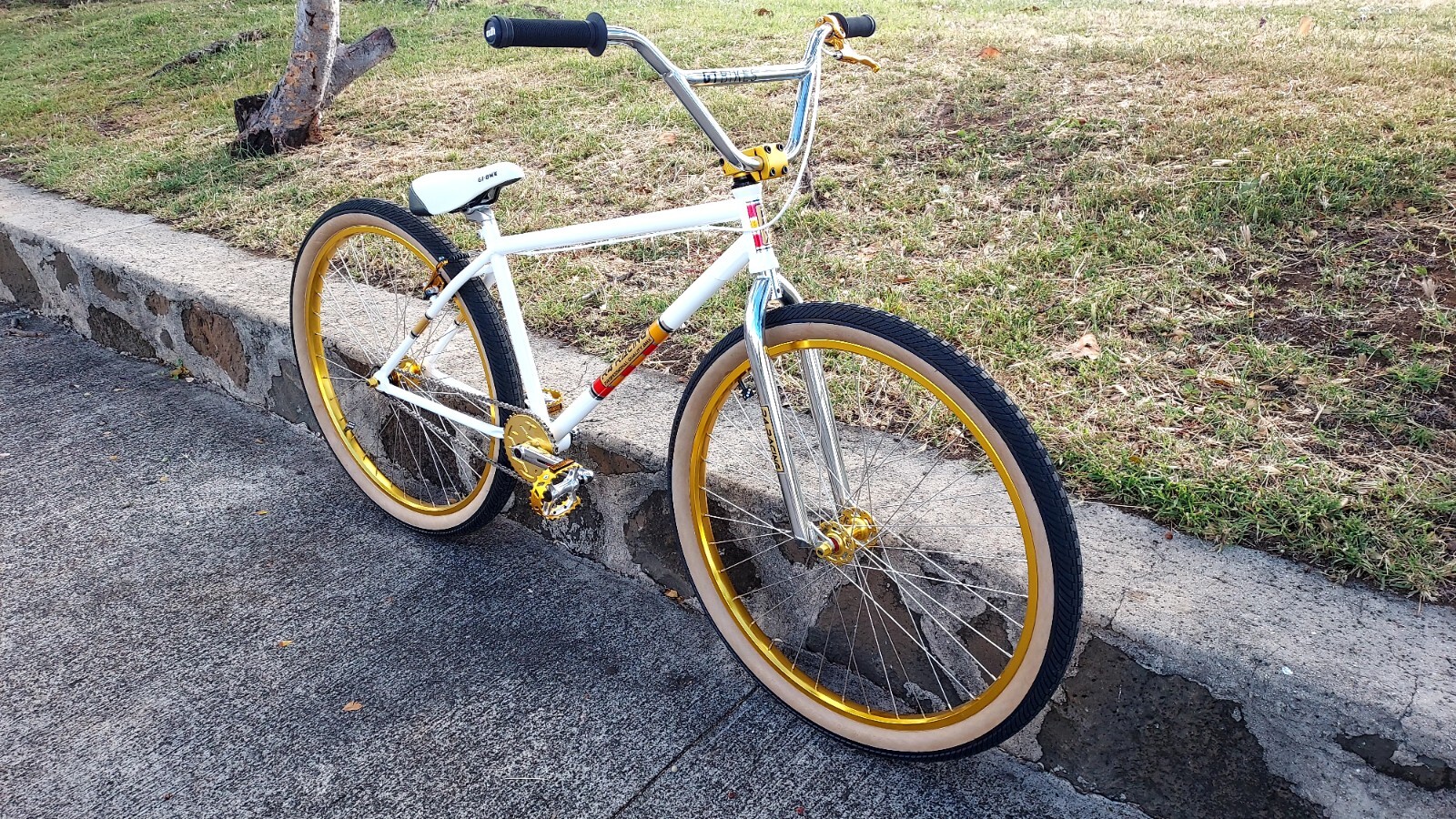 R4 Products 29 Inch BMX Cruiser | eBay