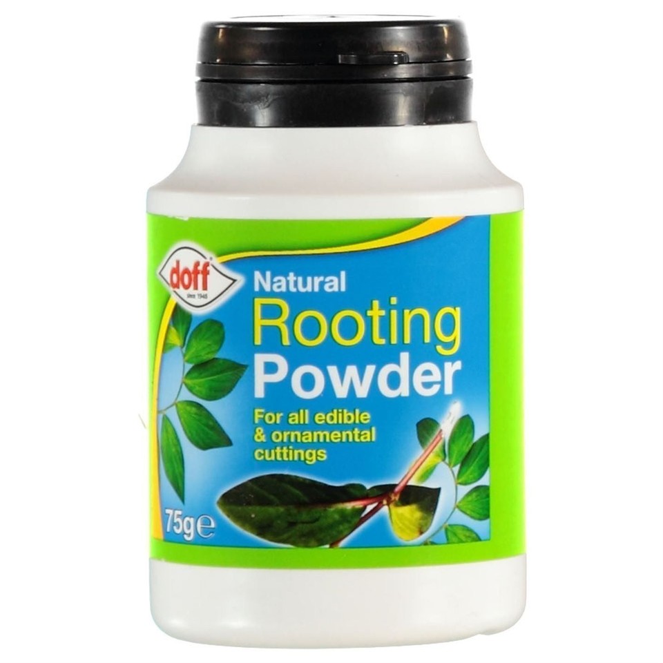 Doff Natural Hormone Rooting Powder 75g for Strong Healthy Plants PK 1 ...