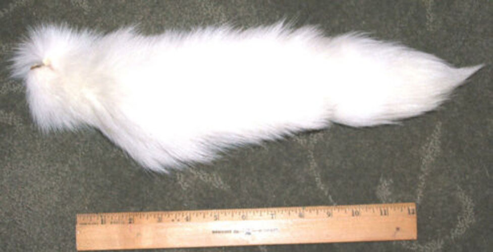 WHITE Shadow Fox Tail XL Tanned 16-18" length | eBay