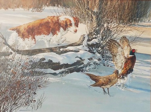 ENGLISH SPRINGER SPANIEL richard amundsen pheasant bird dog painting ...
