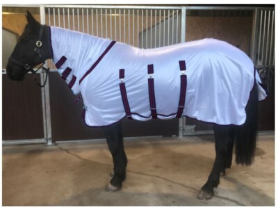 Full Cover Combo Fly Sweet itch Rug with Belly Flap All Sizes 4FT9-7FT ...