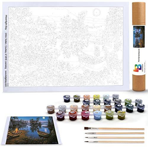 Paint by Numbers Kit for Adults: Beginner to Advanced Number Painting ...