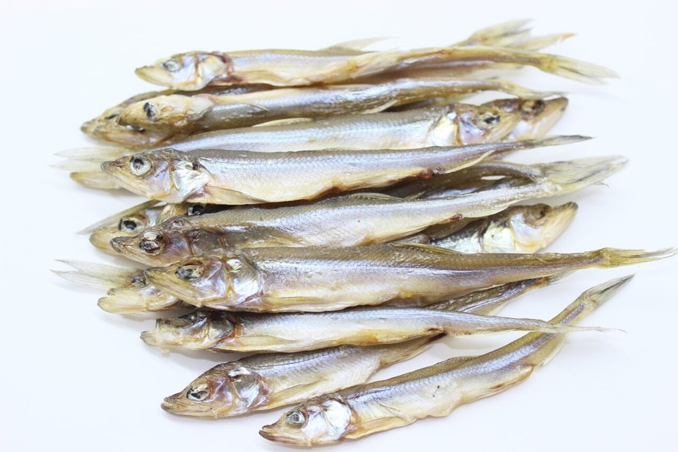 Dried Smelt Fish 90g Корюшка Вяленая High Quality | eBay