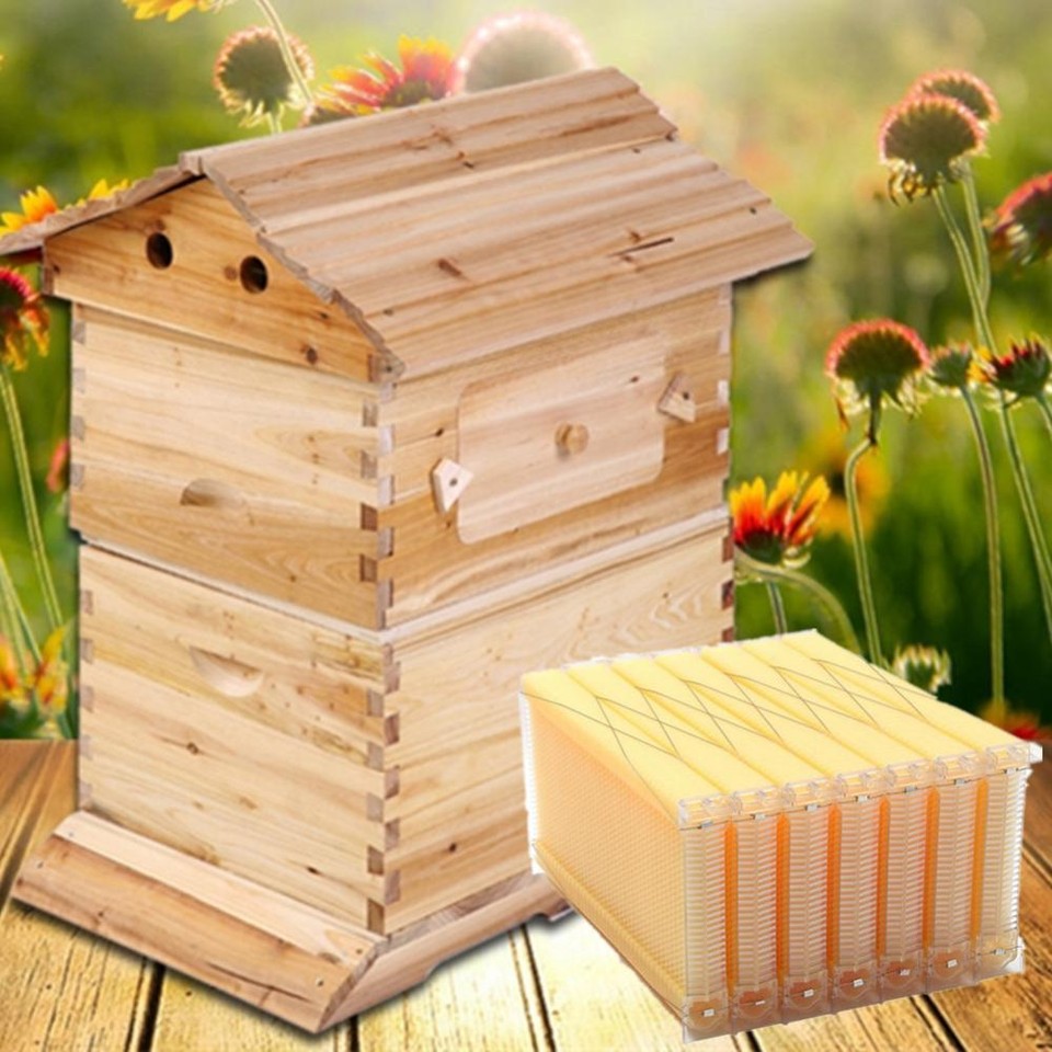 Auto Seep Beehive Beekeeping Hive Beekeeping Bee Boxes +7 Honey Bee ...