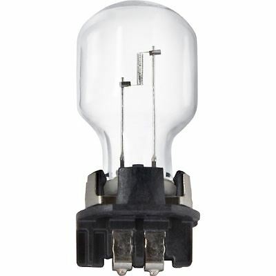 Philips 12V 24W HTR Standard Idicator Bulb PH-12182HTRC1 PW24W Orange ...