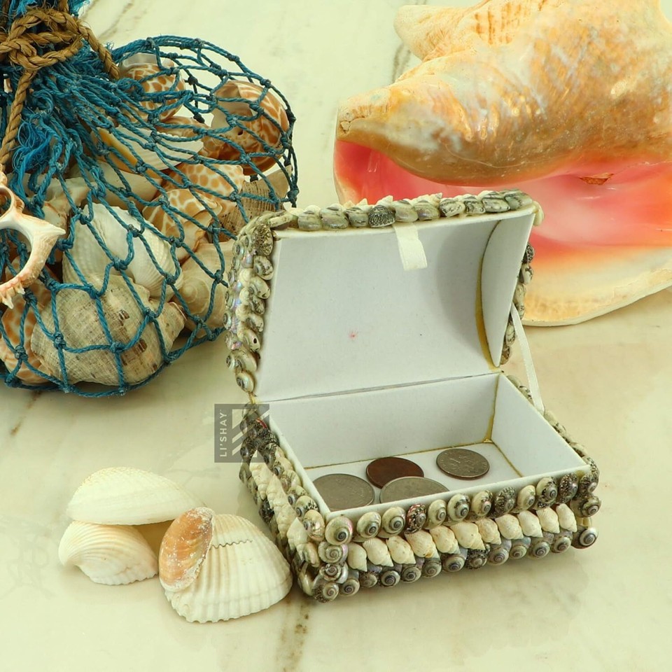 Li'Shay Nassa Shell Dome Trinket Box-White | eBay