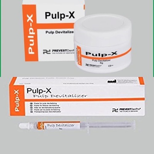 Prevest Denpro Pulp - X Intra And Economy Pack. Devitalizer | eBay