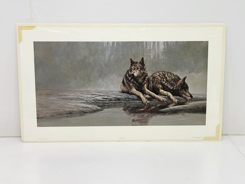 Morten E Solberg Reflection Wolves Art Print Signed Numbered Wolf Lake ...