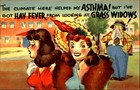 Pun comic~Hay Fever from GRASS WIDOWS (woman away from her man)~1940s ...
