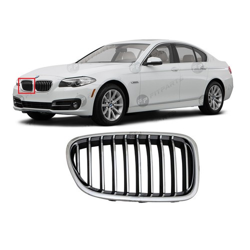 Right Passenger Side Grille for BMW 2014-2016 5 Series 51137412324 ...