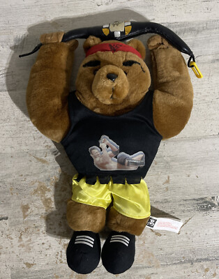 WWF WWE The Rock Plush Teddy Bear Cuddletown Friends Wrestling | eBay
