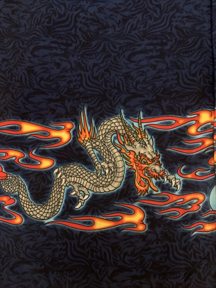 Street Culture Button Up Shirt Dragon Fire Large Polyester Rare Y2K ...