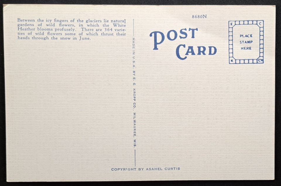 Mt Rainier WA White Heather Wildflowers Linen Postcard Asahel Curtis | eBay