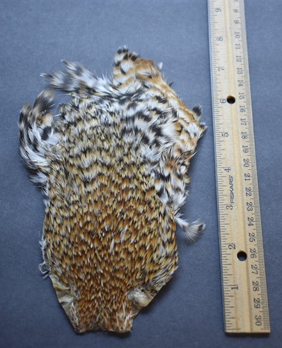 Lot 370, Natural Colored India Rooster Streamer Neck Cape Feathers Fly ...