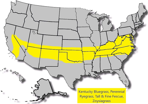 Jacklin Seed by Barenbrug - Heisman Mix | 85% Kentucky Bluegrass, 15% Perenni... 7445033562508| eBay