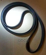 252122G100 Hyundai Vribbed belt 252122G100, New Genuine OEM Part | eBay
