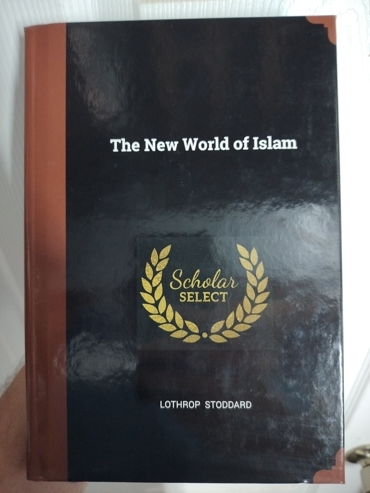 The New World of Islam by Lothrop Stoddard (2017, Hardcover ...