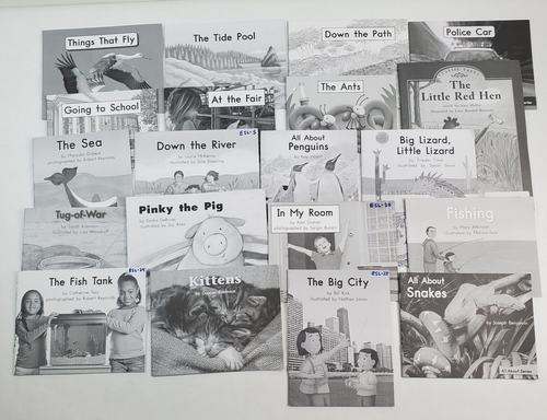 Lot of 20 Fountas & Pinnell Blue System Levels B-C Leveled Literacy ...