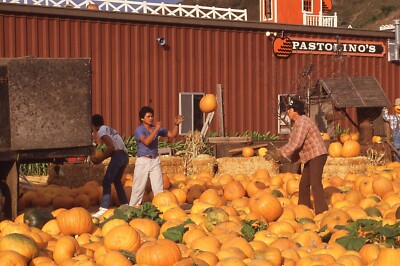 35 MM Color Slides Pro Photo Halloween Fall Autumn Pumpkin Patch People ...