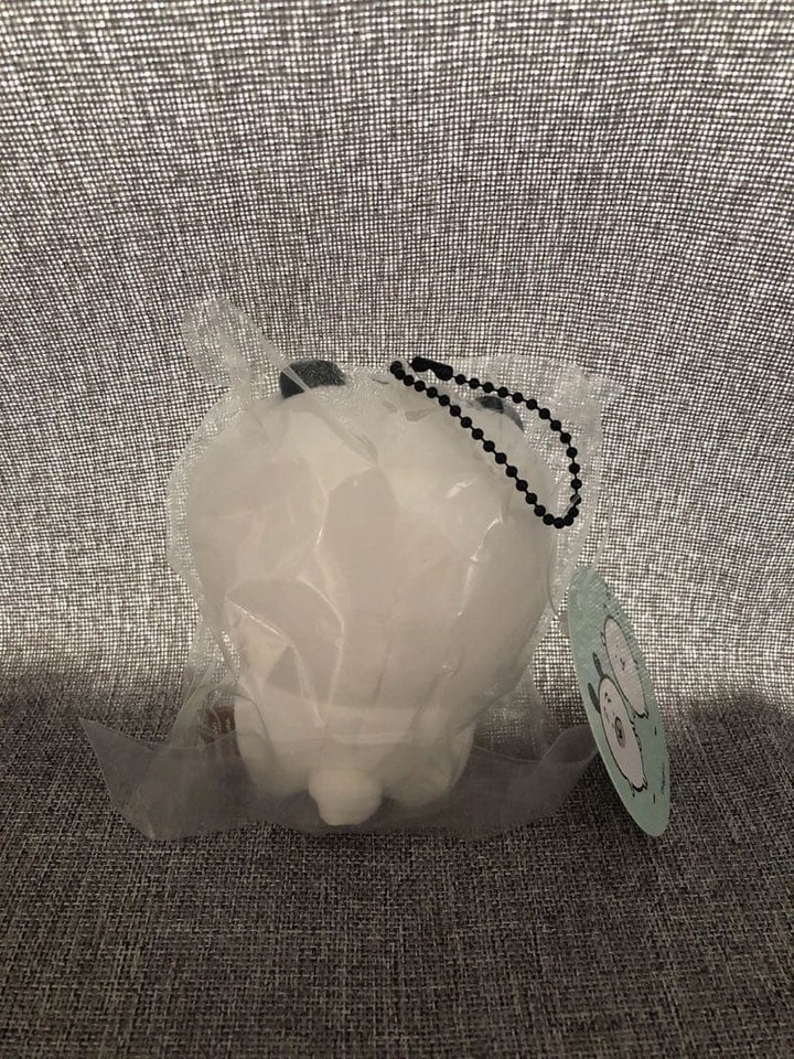 Nagano Market Let's Change! Puchi Mini Mascot Pug Costume | eBay UK