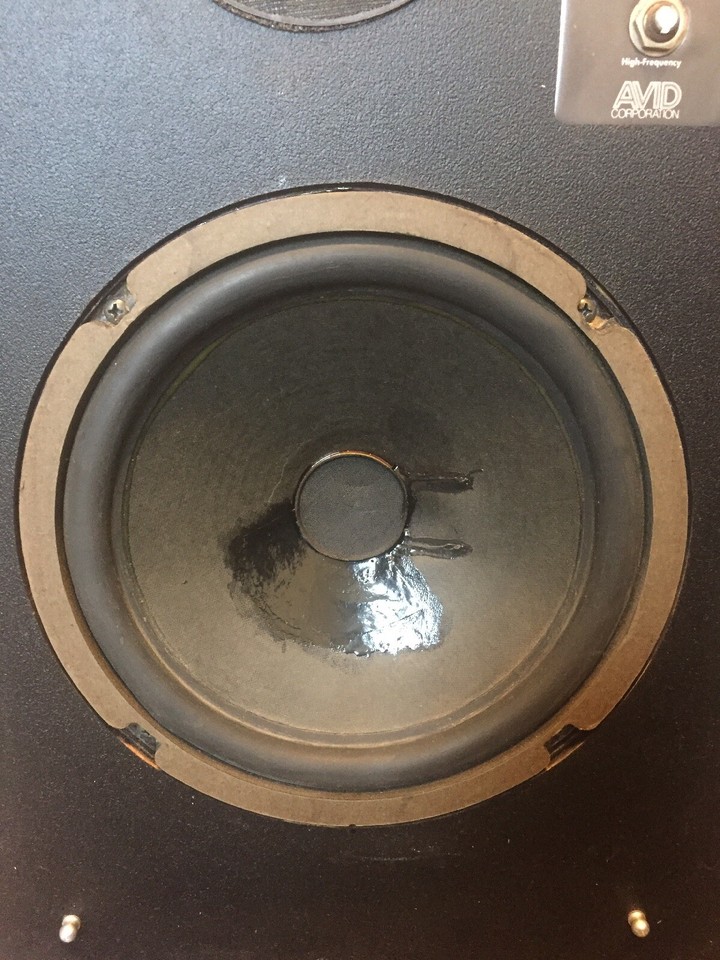 Vintage Avid Model 100 Floor Bookshelf Two-Way Audiophile Speakers Made ...