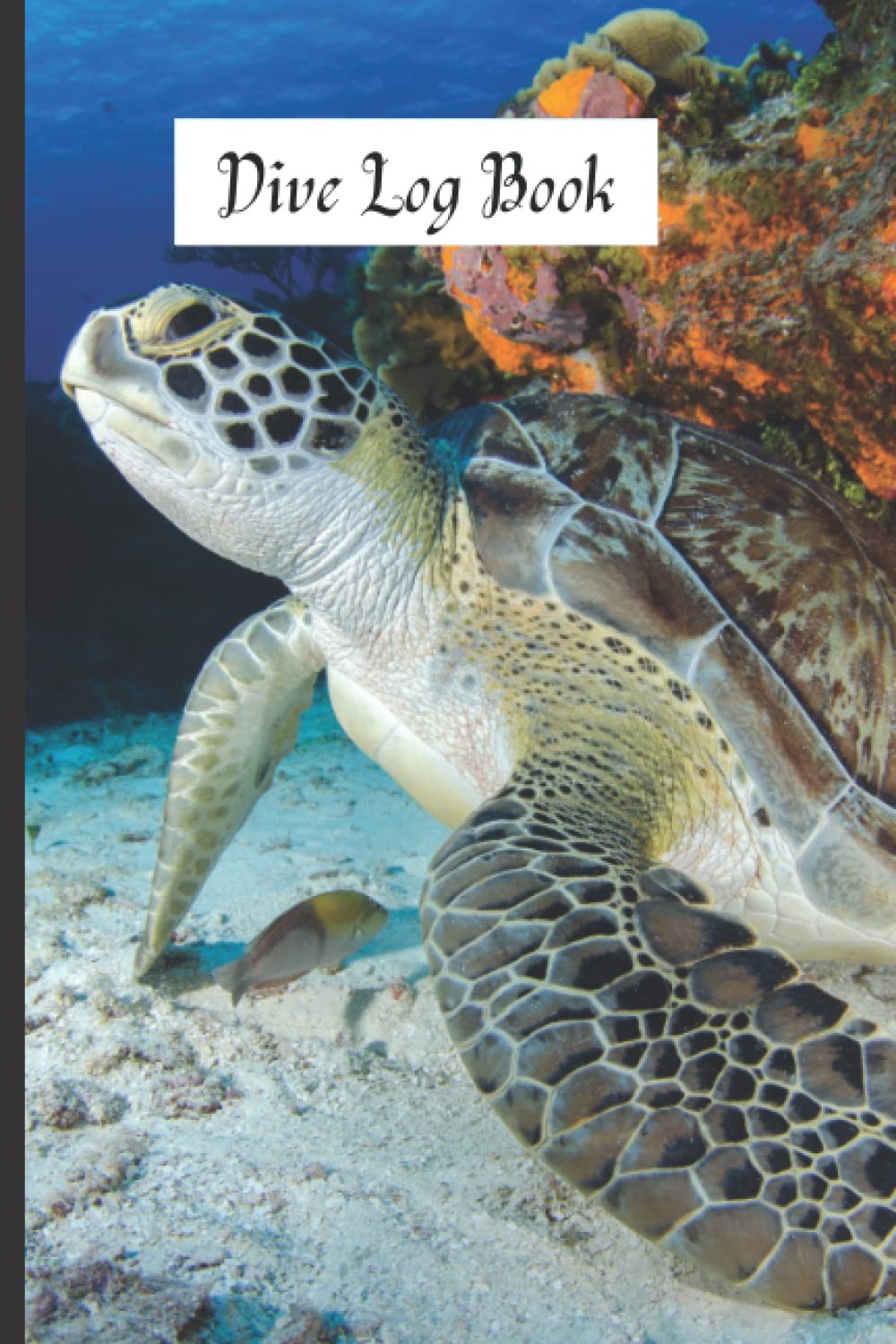 Dive Log Book: Scuba Diving Logbook for All levels of Divers: 120 Pages ...