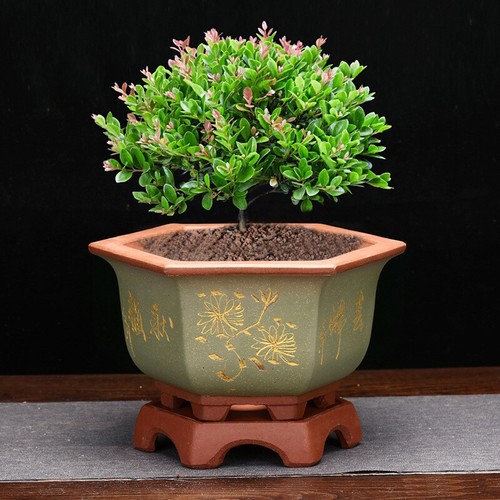 10.4" Large Hexagonal Bonsai Pot w Stand High-Grade Classic Chinese ...