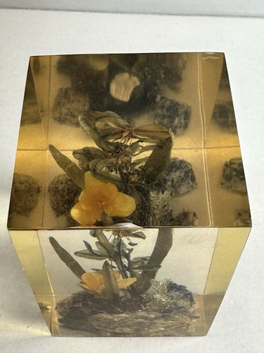 Vintage Signed Resin Paperweight W Rolfe Flower Terrarium Cube Nature ...