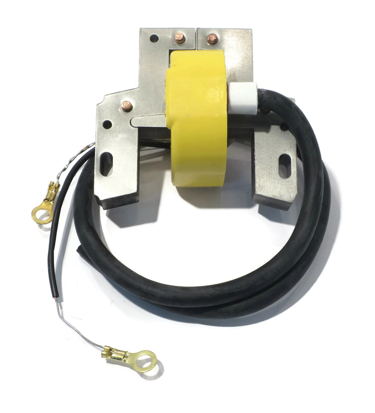 IGNITION COIL MODULE fits Briggs & Stratton 171701 190432 190701 190702 ...