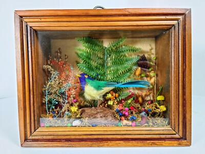 Victorian - Victorian Shadowbox