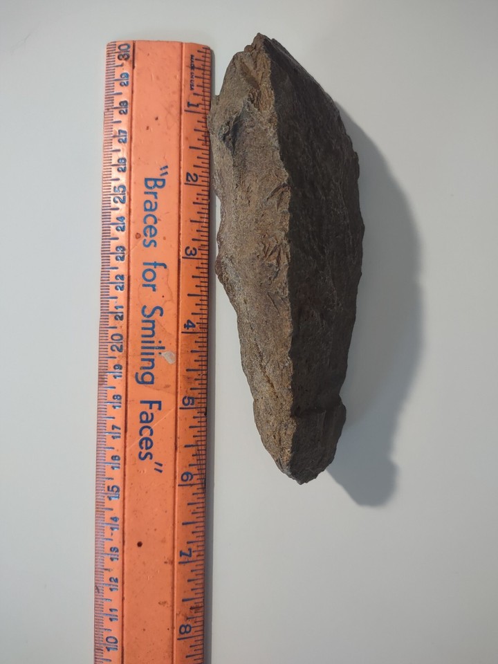 Florida Georgia Arrowhead Artifact Adze Scraper Paleo Early Archaic | eBay