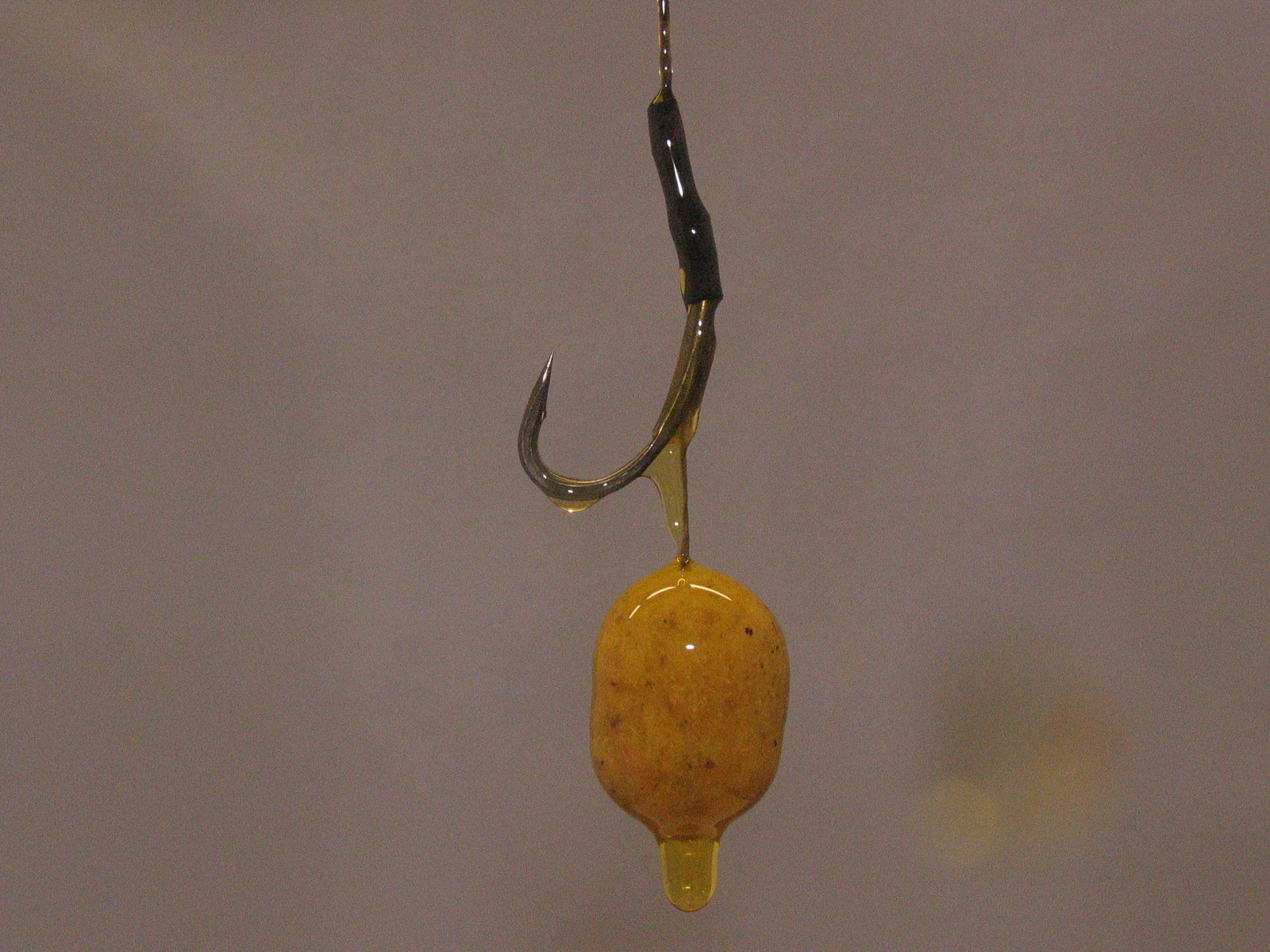 Sweetcorn Carp Fishing Boilies Yellow Sweetcorn Flavour Chunks In Glug ...