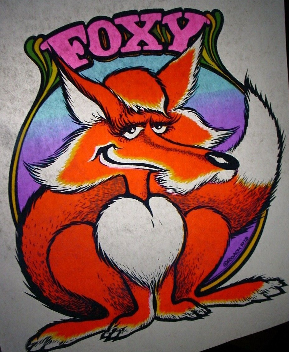 FOXY 1970's VINTAGE AMERICANA IRON ON TRANSFER HOT MA… - Gem