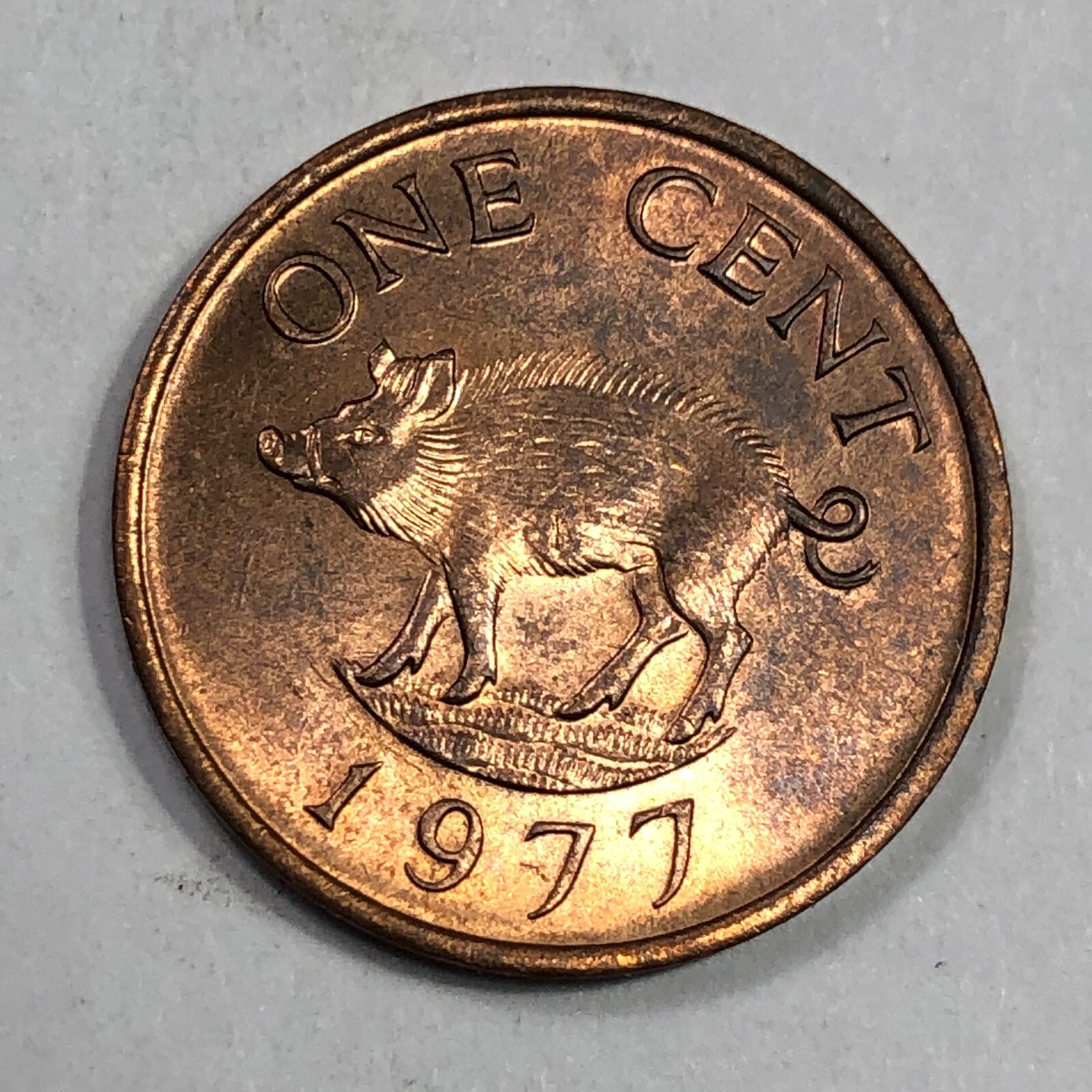 1977 Bermuda One Cent Foreign Coin #2416 | eBay