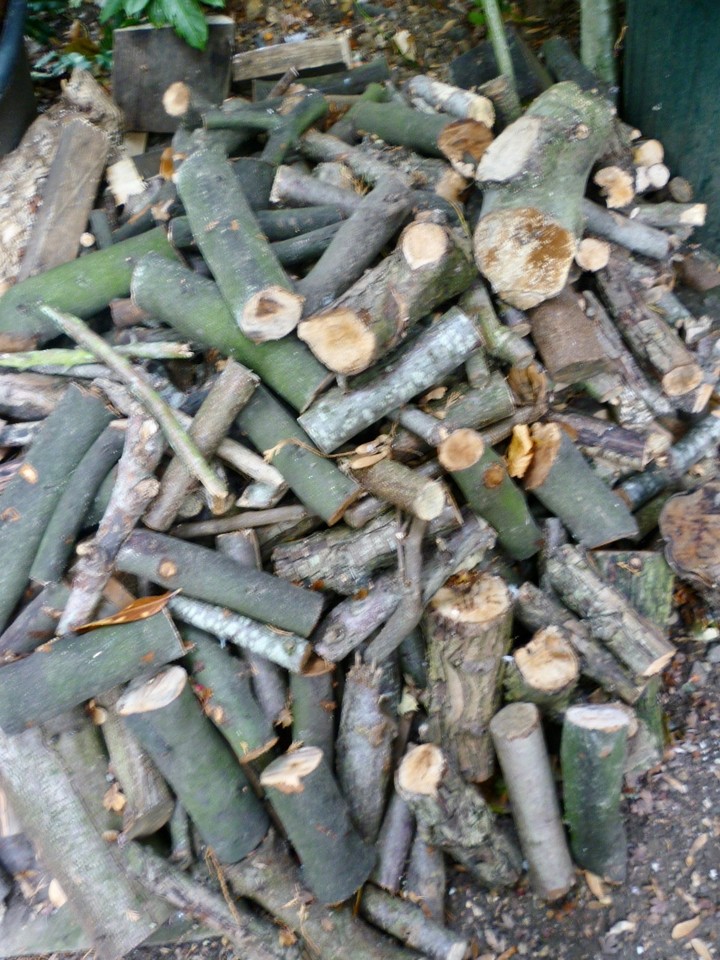 Pile of Small Sized Firewood Logs | eBay UK