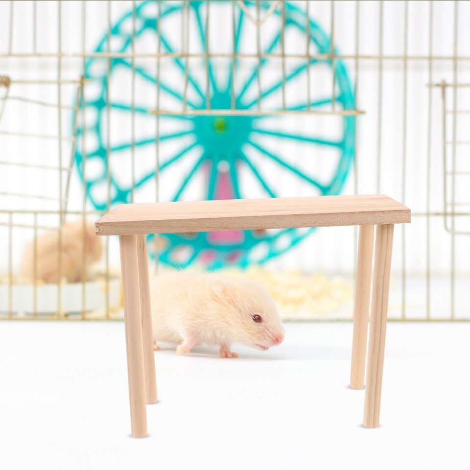 Squirrel Cage Accessories Small Animal Playground Hamster Decor ...