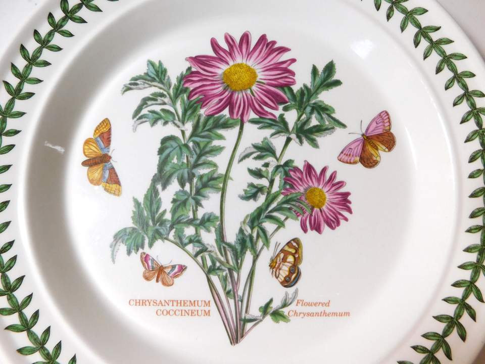 PORTMEIRION THE BOTANIC GARDEN PATTERN YOU PICK YOUR PIECE U PICK DROP ...