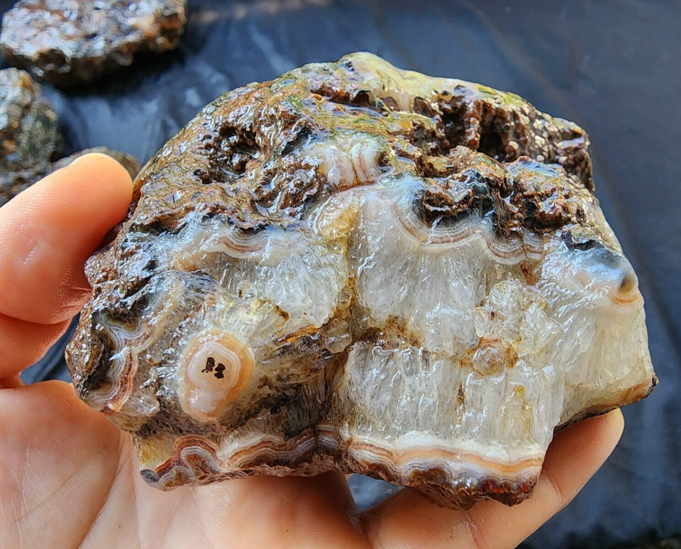 15 Lapidary Agate Rough, Wholesale Agate, Bulk Agate, Agate Lot, 13.95 ...